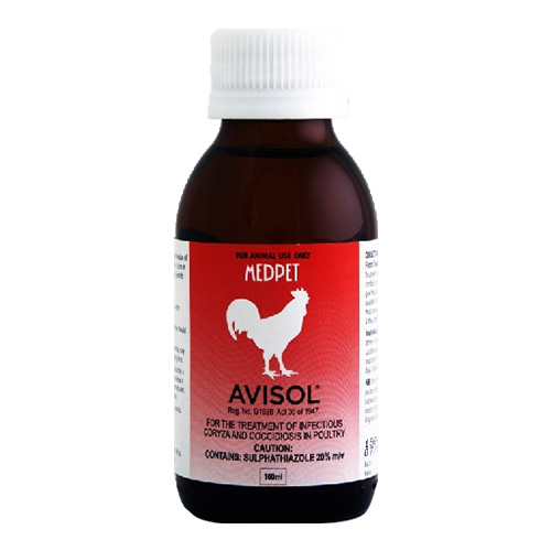 Avisol Solution for Birds & Poultry | Buy MedPet Avisol Solution Online ...