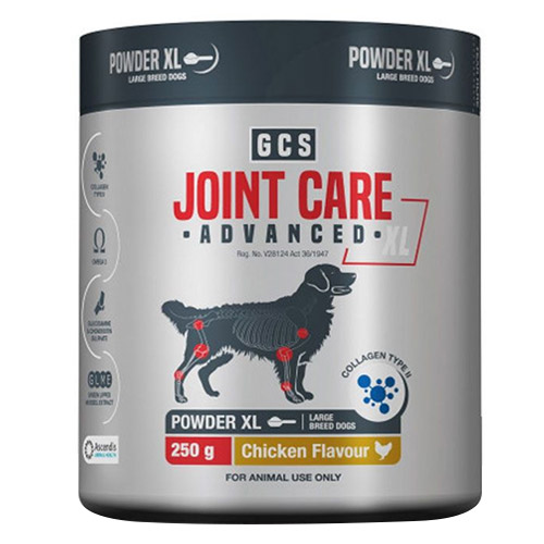 Buy Gcs Joint Care Advanced Powder XL for Dogs- 250gm 1 Pack Online