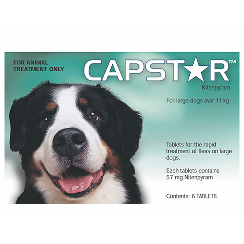 Buy Capstar for Cats and Small Dogs (Blue) at Lowest Price